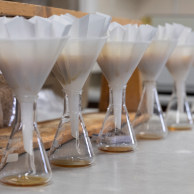 Crisp Malt | British Malting Company | Manufacturer and Supplier.