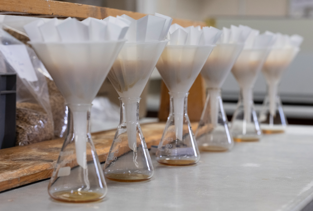 Malt Analysis | Technical Support from Crisp Malt lab services