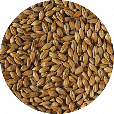 Table Beer Recipe from Crisp Malt | British Extra Pale Malt & Dextrin