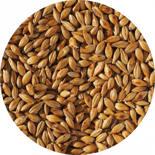 Our Malts | Crisp Malt | British Wholesale Malt Manufacturer since 1870