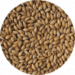 Our Malts | Crisp Malt | British Wholesale Malt Manufacturer since 1870