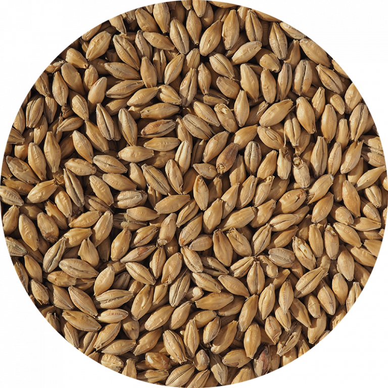 Table Beer Recipe from Crisp Malt | British Extra Pale Malt & Dextrin