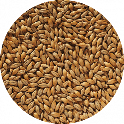 Table Beer Recipe from Crisp Malt | British Extra Pale Malt & Dextrin