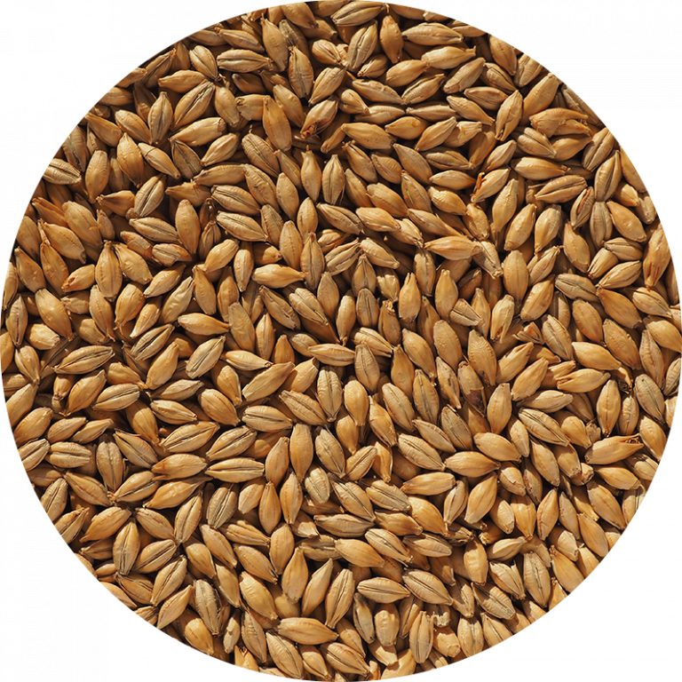 Table Beer Recipe from Crisp Malt | British Extra Pale Malt & Dextrin