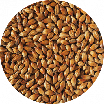 Table Beer Recipe from Crisp Malt | British Extra Pale Malt & Dextrin