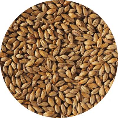 Table Beer Recipe from Crisp Malt | British Extra Pale Malt & Dextrin