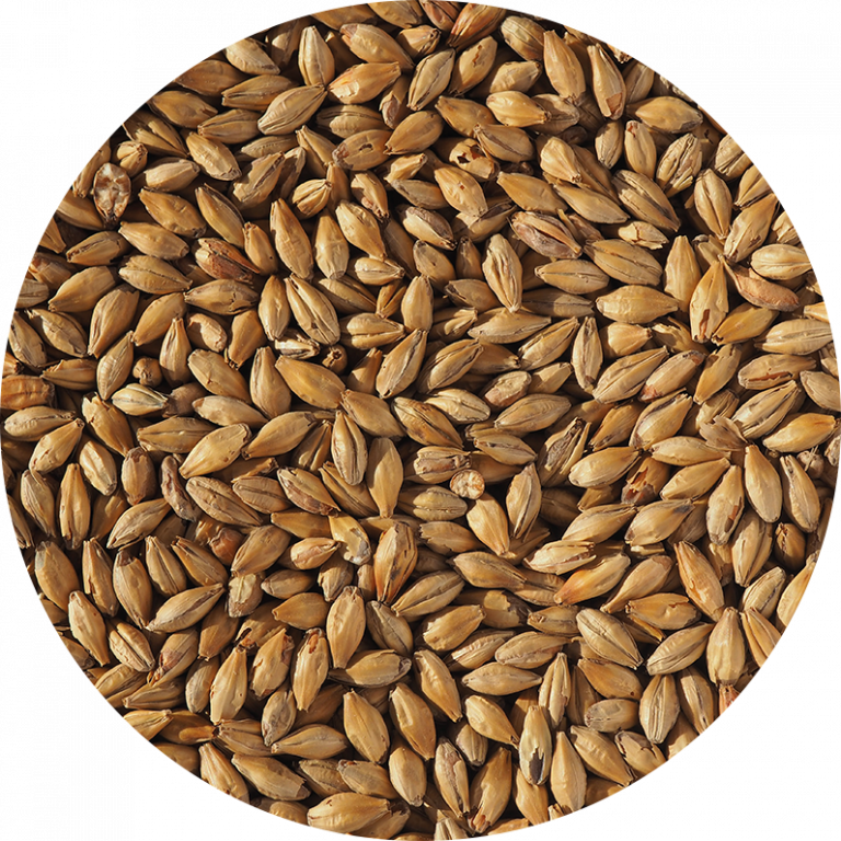 Table Beer Recipe from Crisp Malt | British Extra Pale Malt & Dextrin