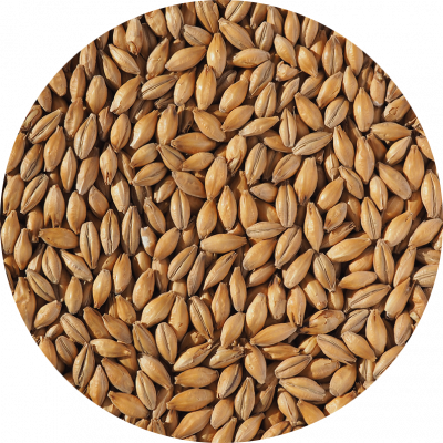Table Beer Recipe from Crisp Malt | British Extra Pale Malt & Dextrin