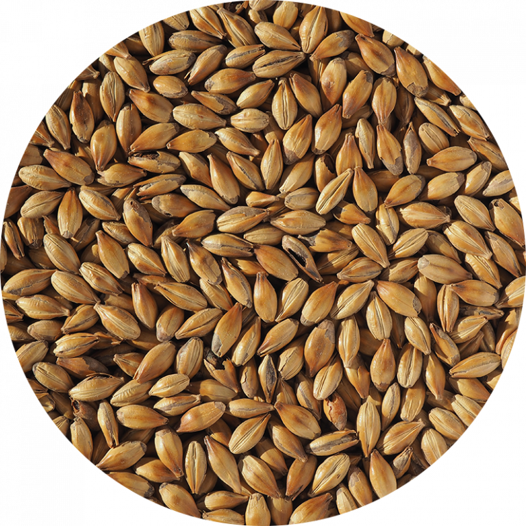 Table Beer Recipe from Crisp Malt | British Extra Pale Malt & Dextrin