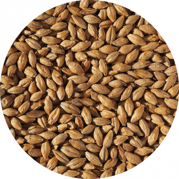 Table Beer Recipe from Crisp Malt | British Extra Pale Malt & Dextrin