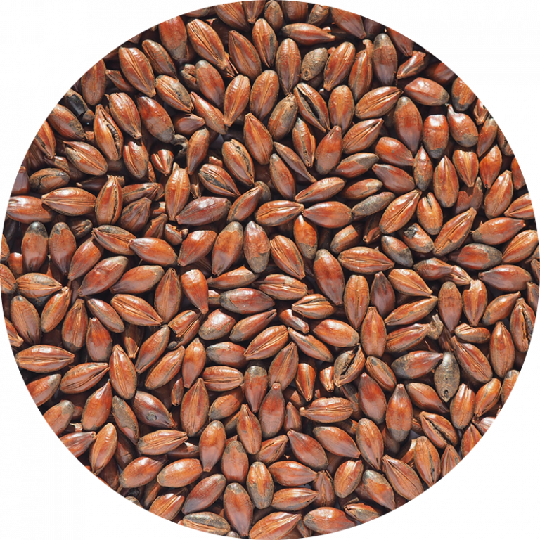 Our Malts | Crisp Malt | British Wholesale Malt Manufacturer since 1870