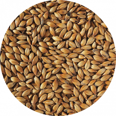 Table Beer Recipe from Crisp Malt | British Extra Pale Malt & Dextrin