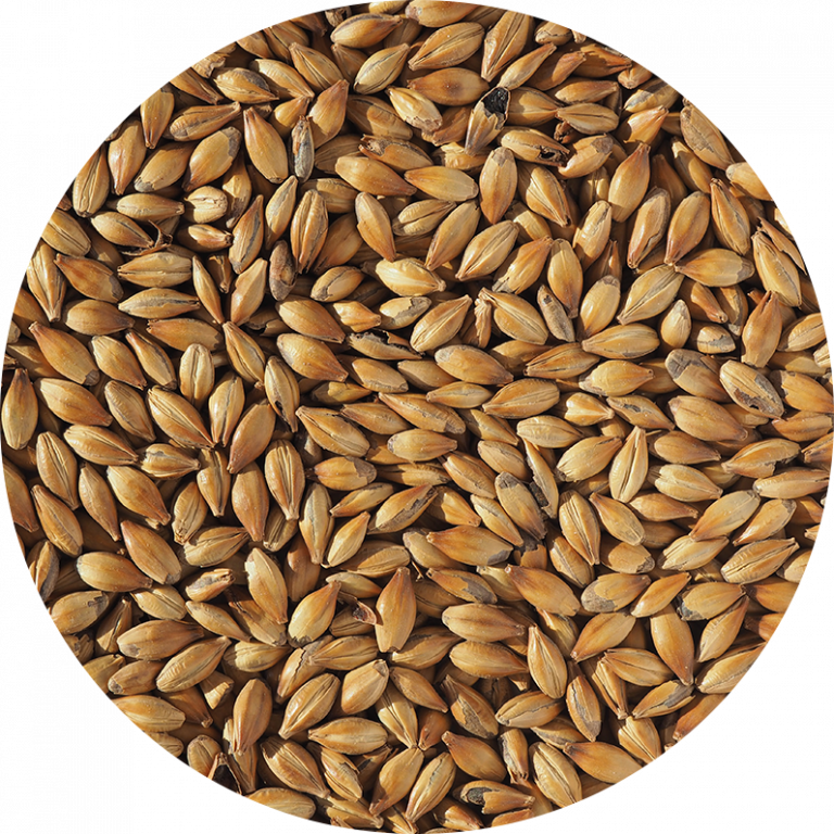 Table Beer Recipe from Crisp Malt | British Extra Pale Malt & Dextrin