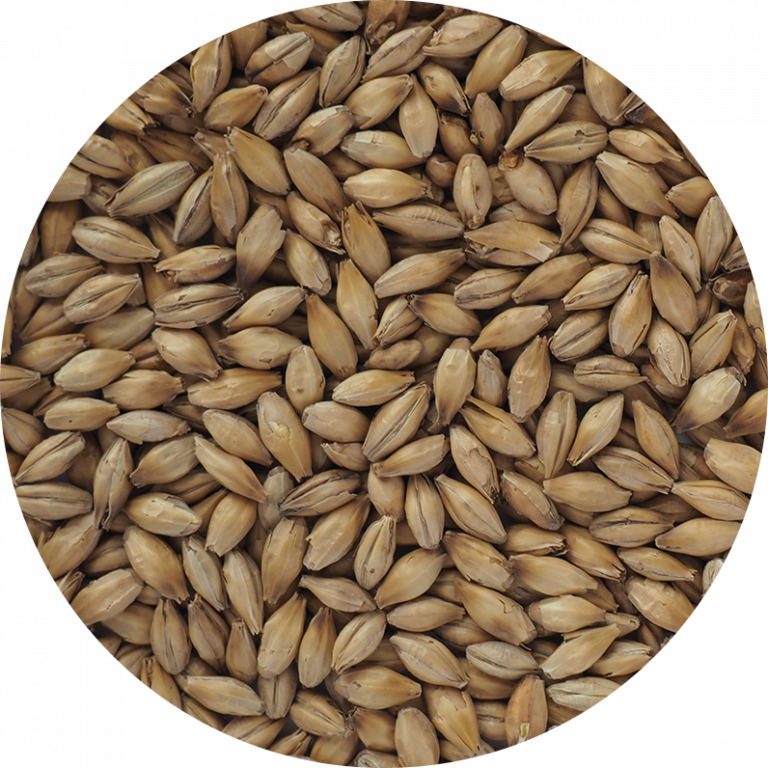 Crisp Distilling Malt | Scottish Whiskey Production | Plain & Peated
