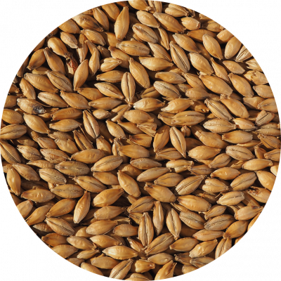 Our Malts | Crisp Malt | British Wholesale Malt Manufacturer since 1870