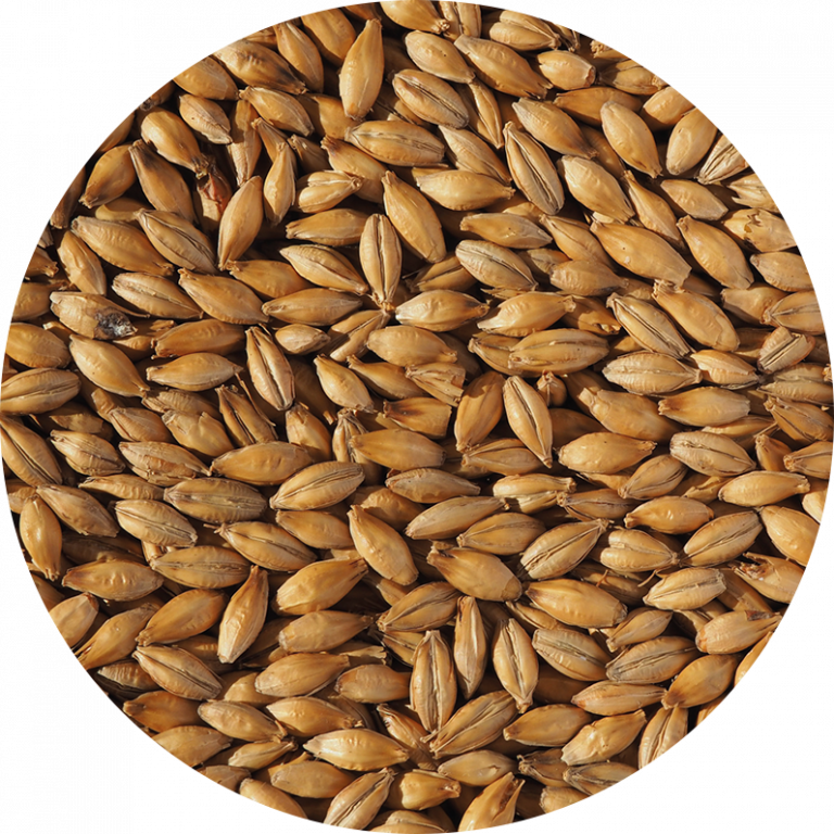 Our Malts | Crisp Malt | British Wholesale Malt Manufacturer since 1870