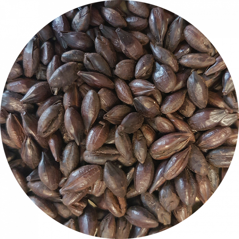 Roasted Barley Malt From Crisp | Brewing Malt For Irish Stouts
