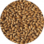 Our Malts | Crisp Malt | British Wholesale Malt Manufacturer since 1870