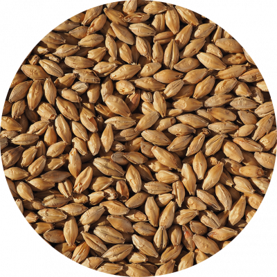 Table Beer Recipe from Crisp Malt | British Extra Pale Malt & Dextrin