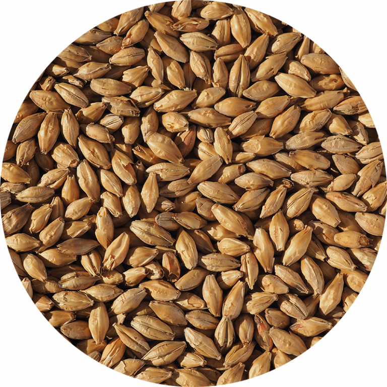 Table Beer Recipe from Crisp Malt | British Extra Pale Malt & Dextrin