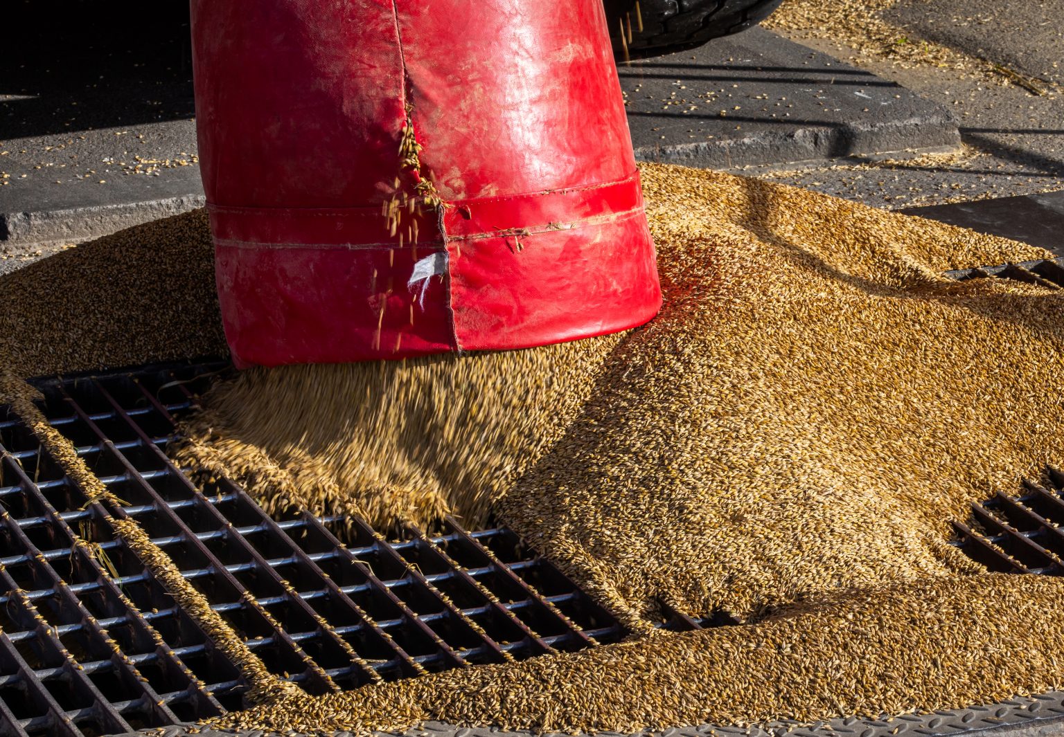 Why does the malt price change every year? Part 1: Barley - Crisp Malt