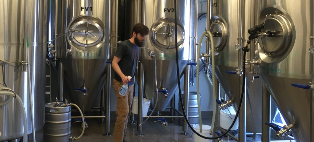 Beer Fermentation | Crisp Malt Transforms Wort to Beer | UK Malt