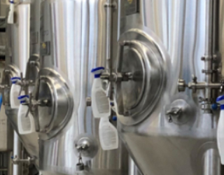 Beer Fermentation | Crisp Malt Transforms Wort to Beer | UK Malt