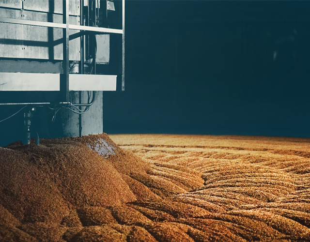 Crisp Malt | Webinar Series #7 | Quick Guide to Malting & Specialty Malts