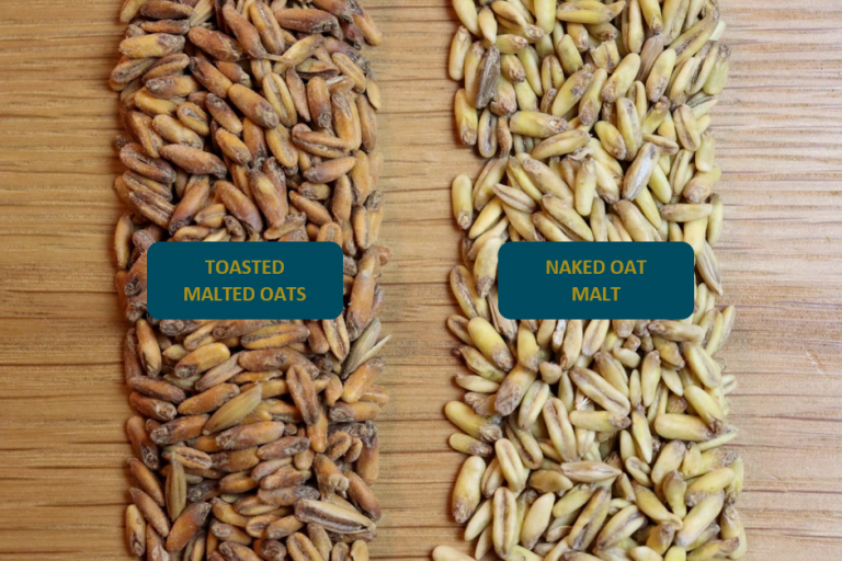 Small Batch Speciality Malt; No 4 Toasted Malted Oats | Crisp Malt