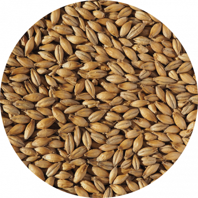 Table Beer Recipe from Crisp Malt | British Extra Pale Malt & Dextrin