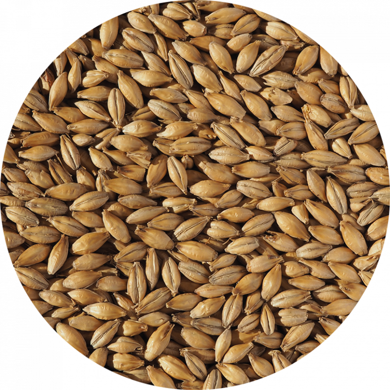 Table Beer Recipe from Crisp Malt | British Extra Pale Malt & Dextrin