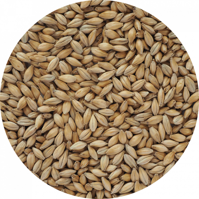 Table Beer Recipe from Crisp Malt | British Extra Pale Malt & Dextrin