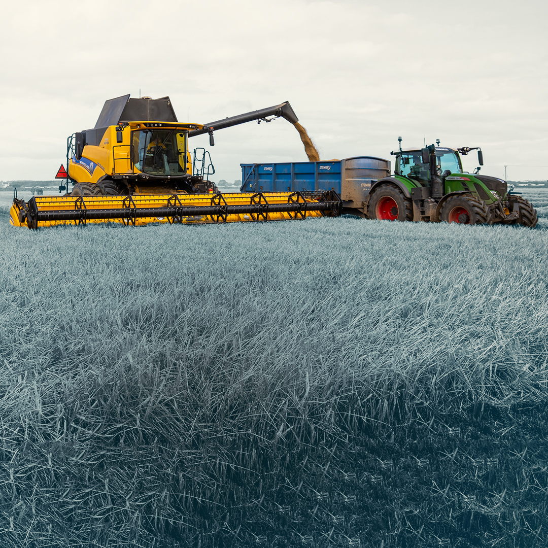 2021 Barley Harvest | Crisp Malt | Webinar #18 For Craft Brewers.