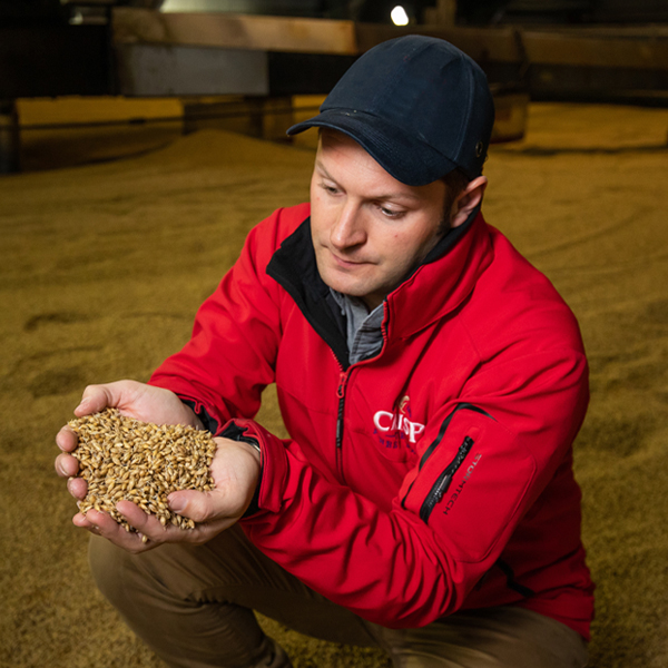 Making Scottish Malt | The Stages of Making Quality Scottish Malt At Crisp