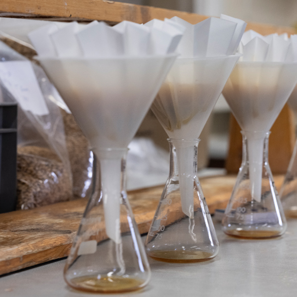 Malt Analysis | Technical Support from Crisp Malt lab services