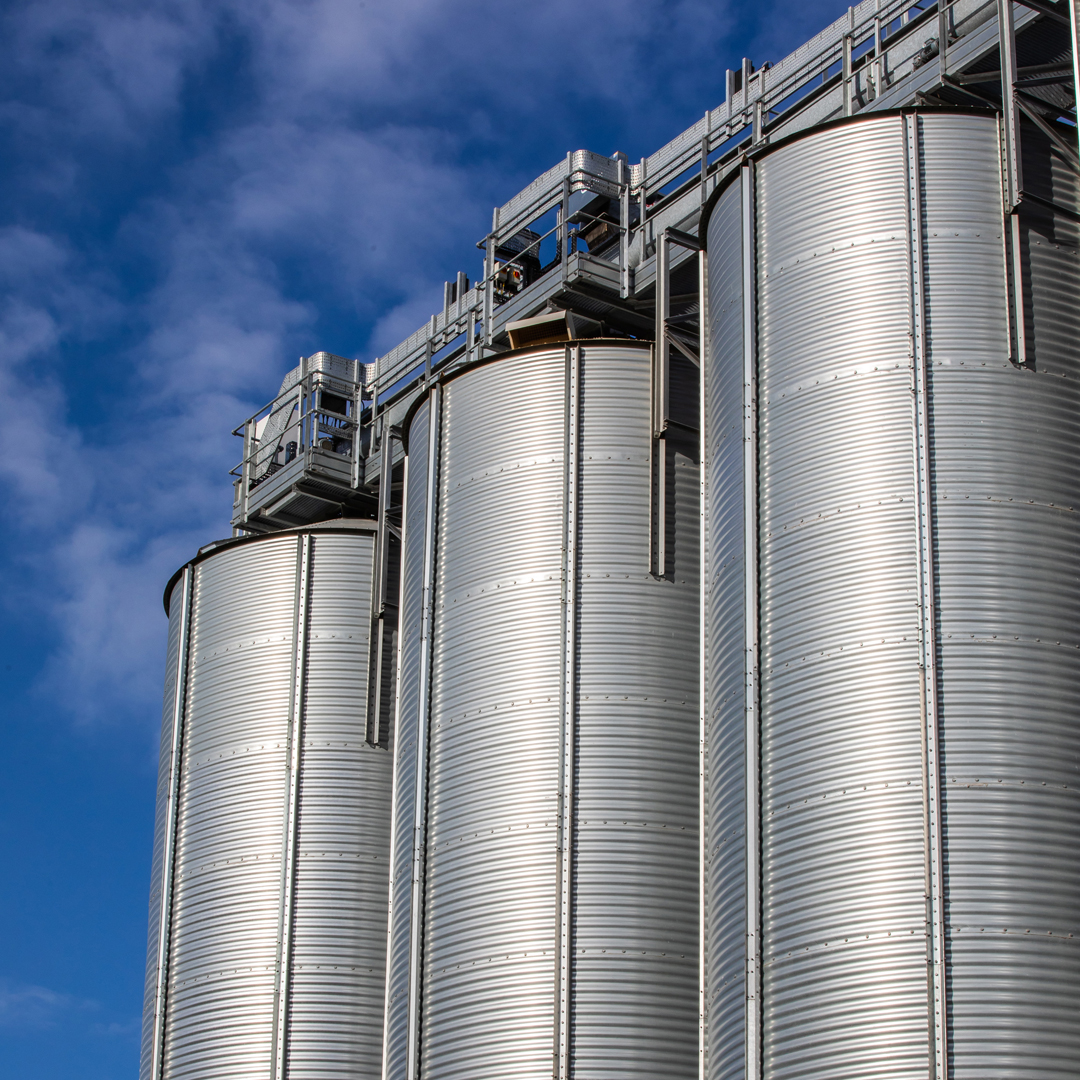 Portgordon Maltings | Scottish Distilling Malt | Crisp Malt