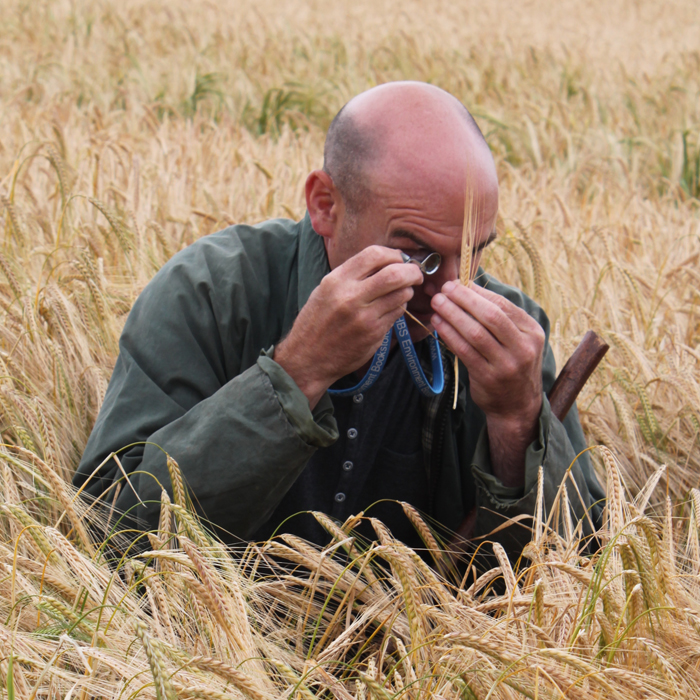 Distilling with Heritage Malts | Scottish and English Malt | Crisp Malt