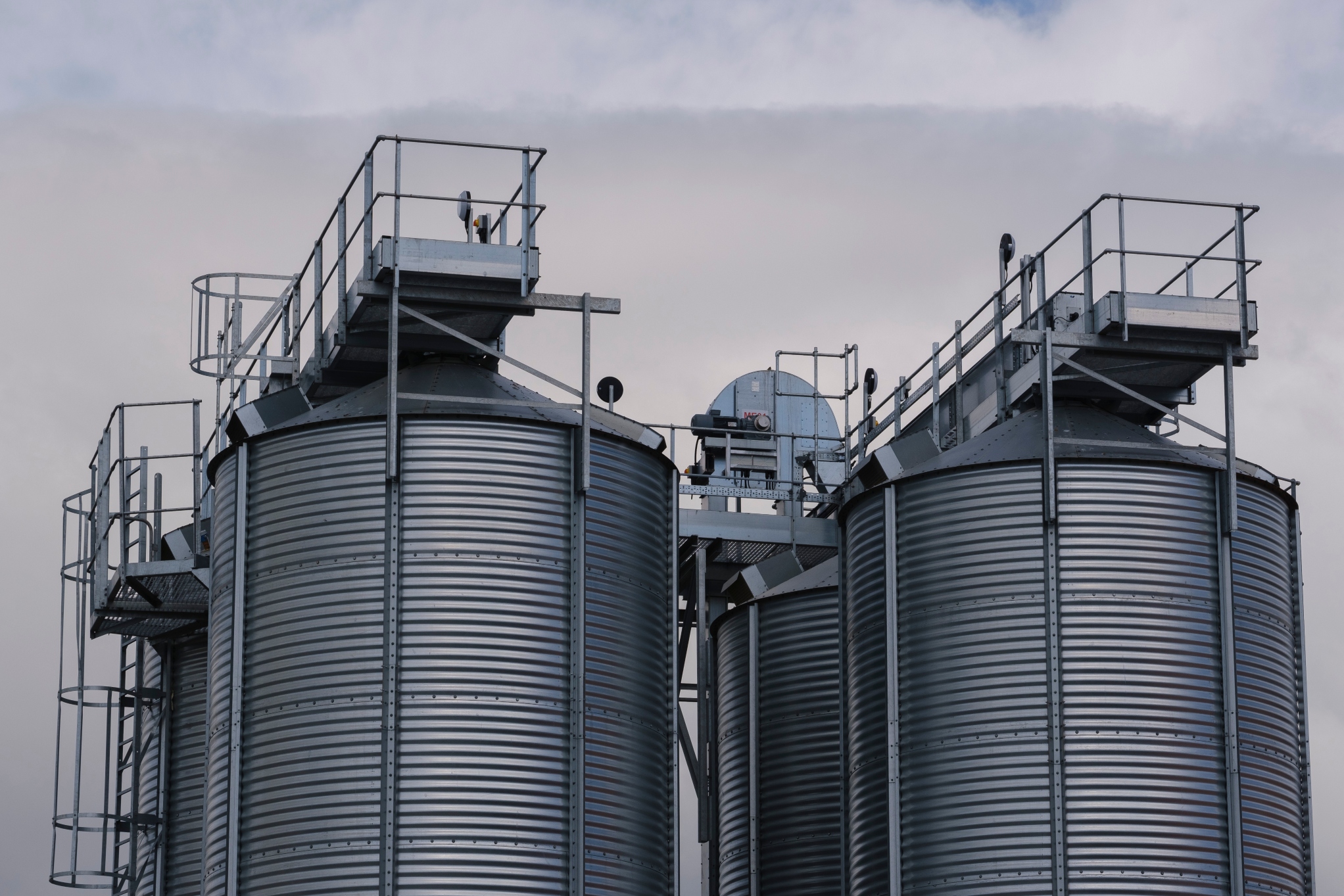 Malting in Alloa, Scotland | Distilling and Brewing Malts | Crisp Malt