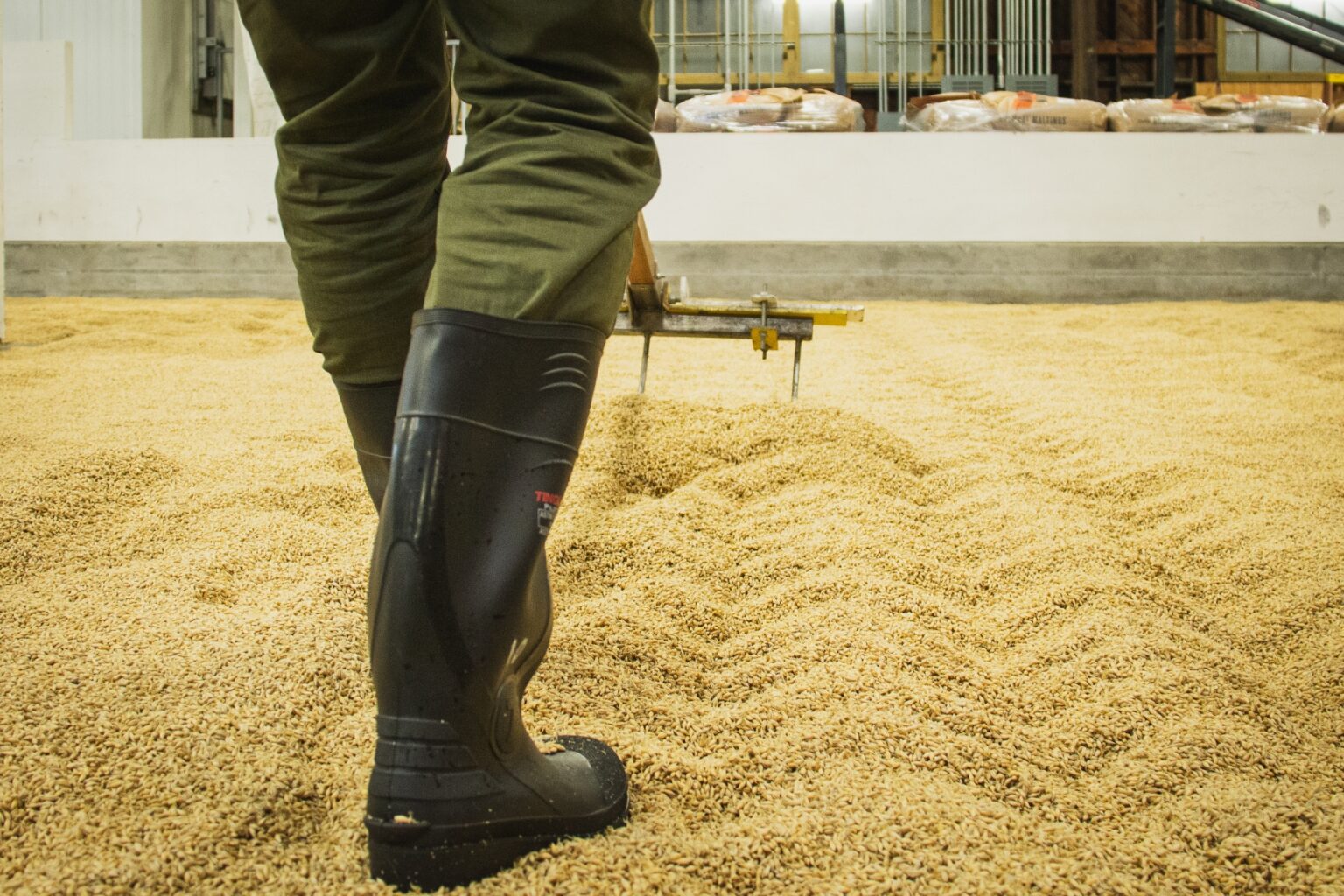 Admiral Maltings | Crisp Malt Grain Collaboration | Haná Malt