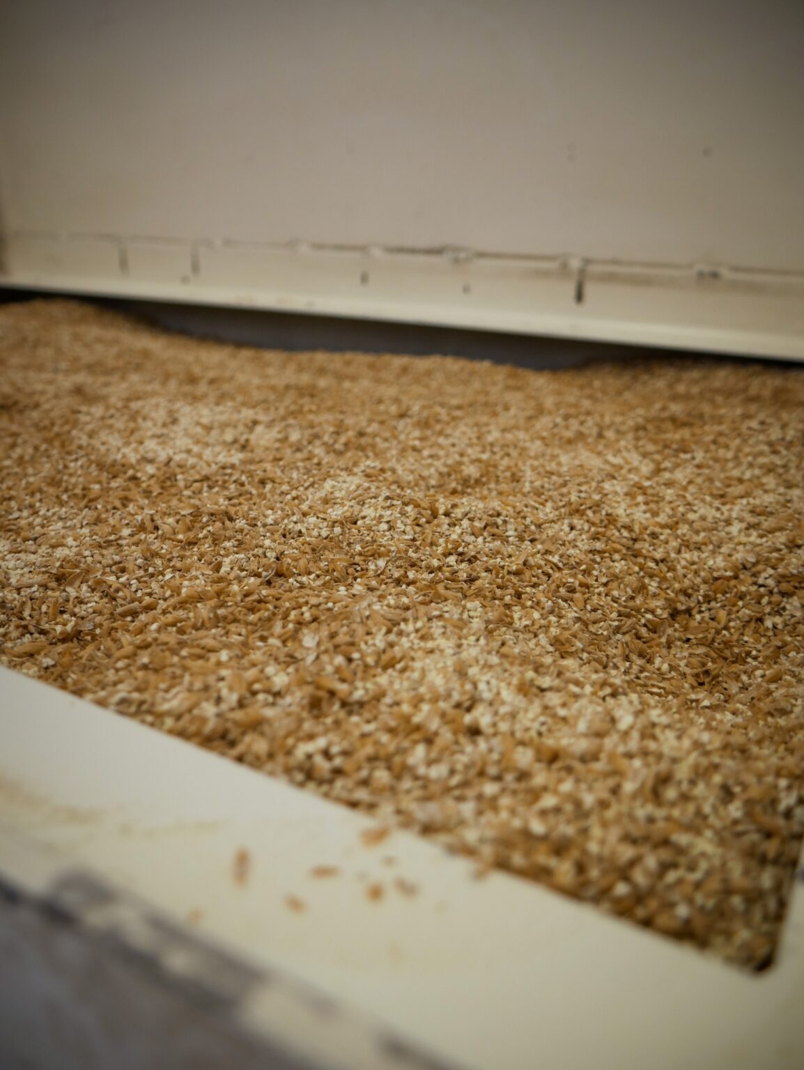 Upscaling to a Malt Mill | Brewers Malt Mills | Crisp Malt