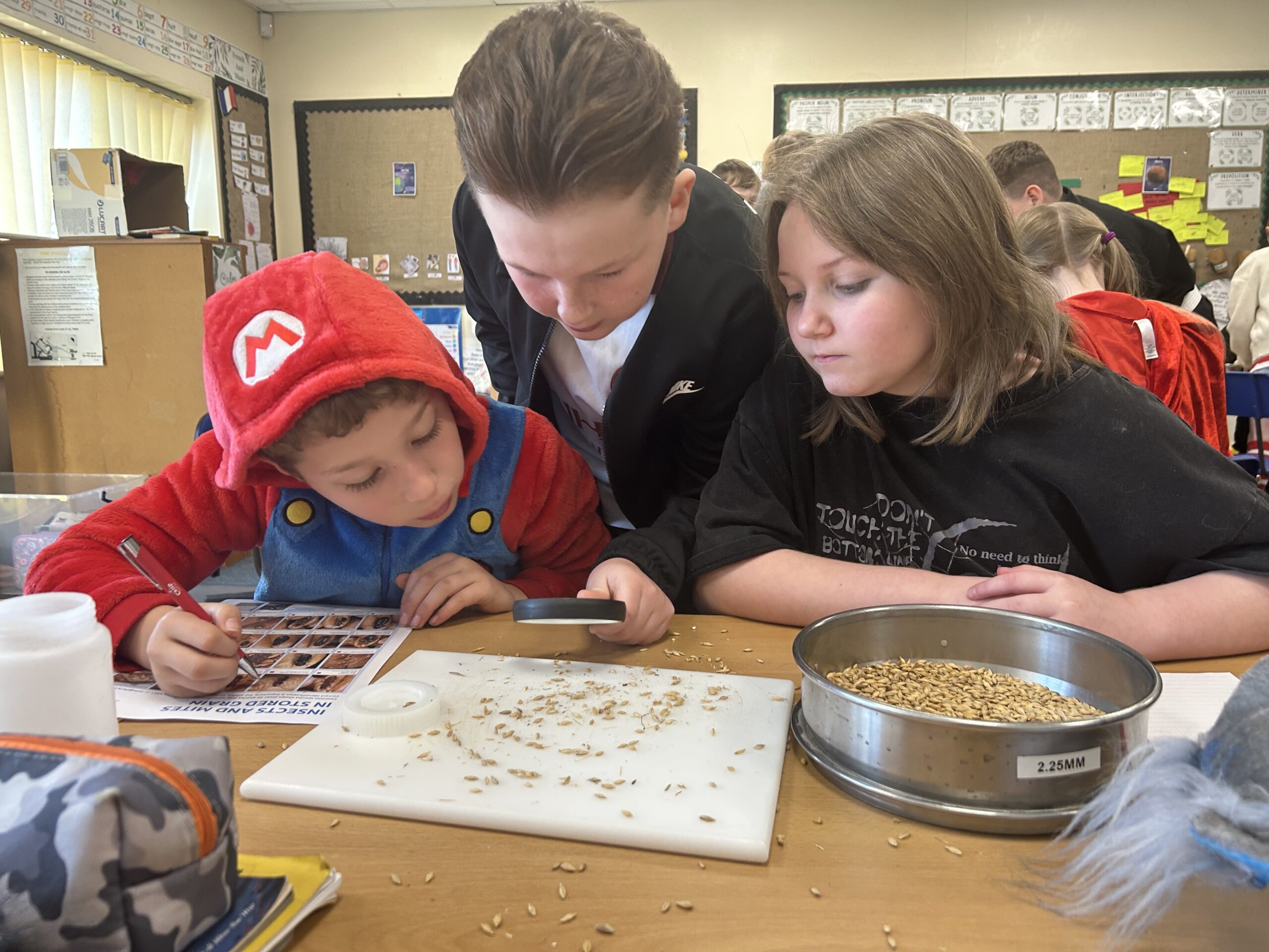 Inspiring Future Craft Maltsters in the Classroom | Crisp Malt