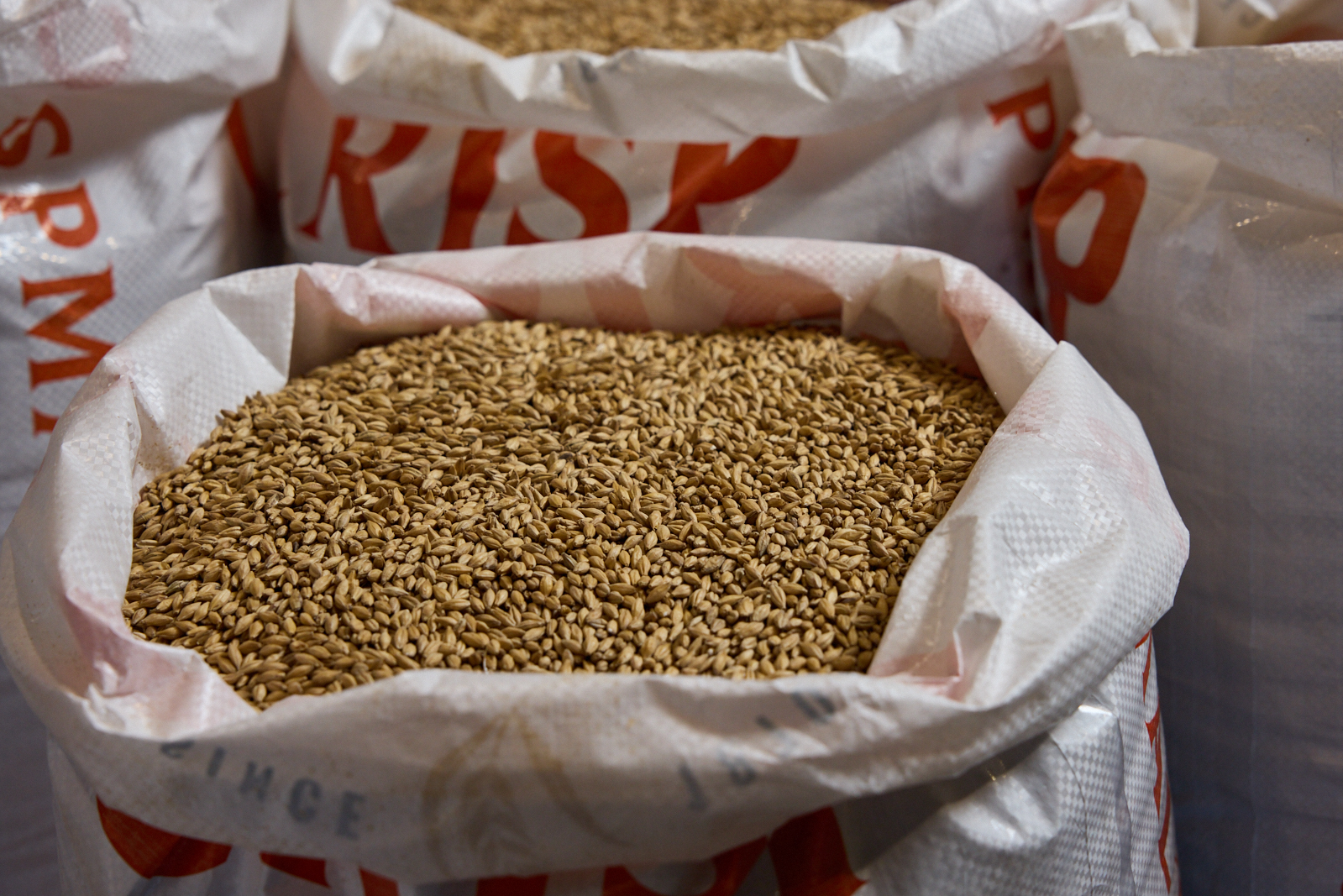 Better Barley, Better Brew | Clear Choice Malt | Cost Saving Malt